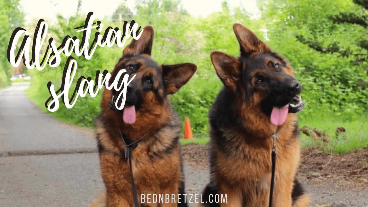 by Andrea Ward February 25, 2023 To Know 0